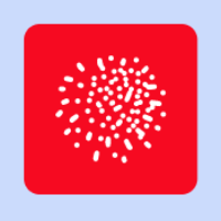 Growth Mindset – Building Bridges Leadership