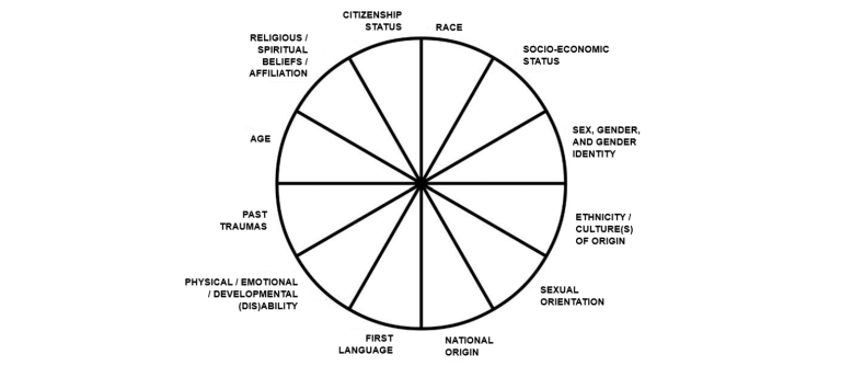 The Social Identity Wheel – Building Bridges Leadership