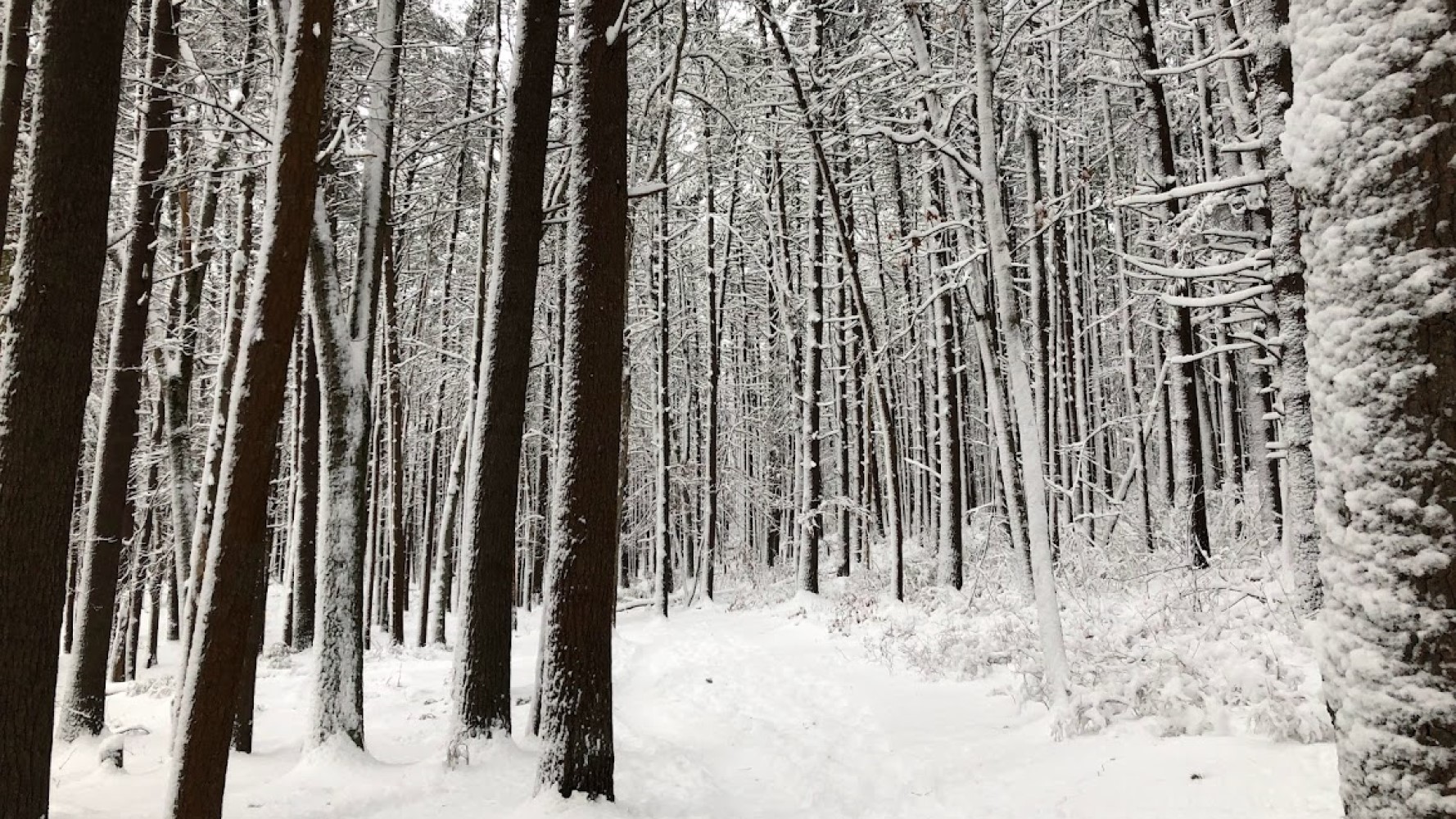 A 10-Minute Atomic Habit for Your “Winter Arc” – Building Bridges ...