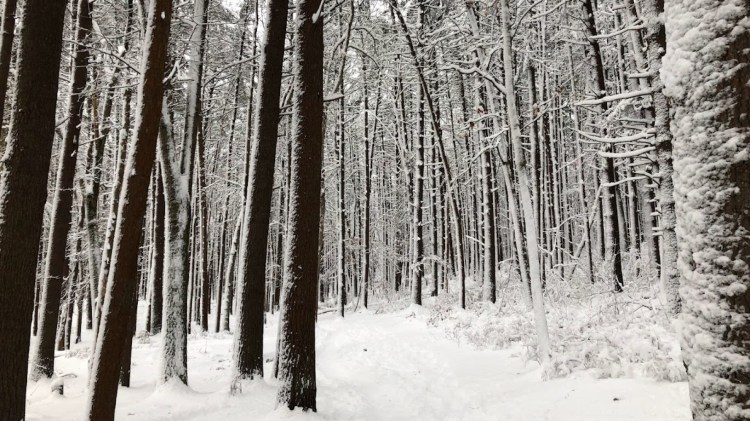 A 10-Minute Atomic Habit for Your “Winter Arc” – Building Bridges ...